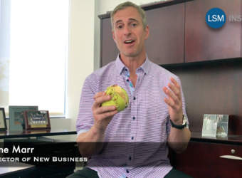 Life Insurance Canada