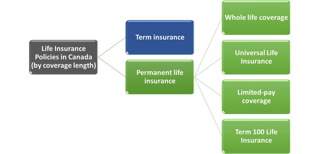 An outline of the various types of life insurance policies - Financial ...