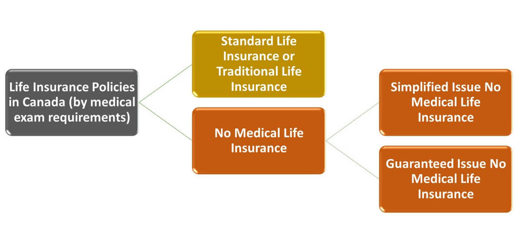 An outline of the various types of life insurance policies - Financial ...
